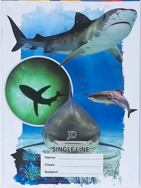 2023 Winners Single Line Copybook, Assorted Patterns, Single Count ...