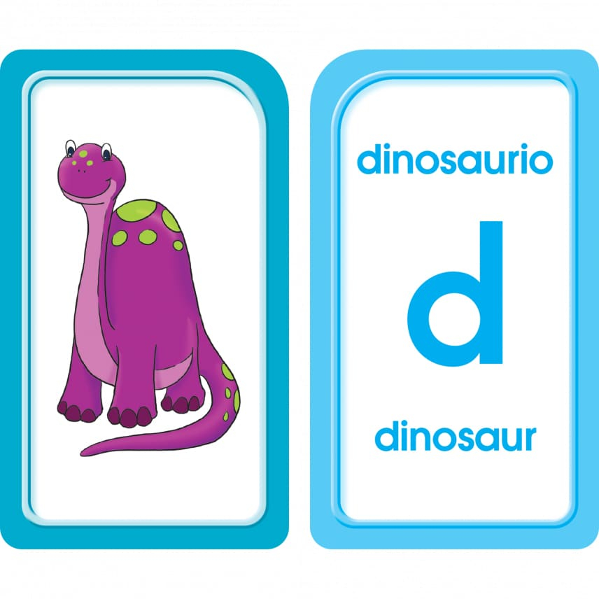 School Zone Bilingual Alphabet Flash Cards Ages 5-Up – Charrans.com